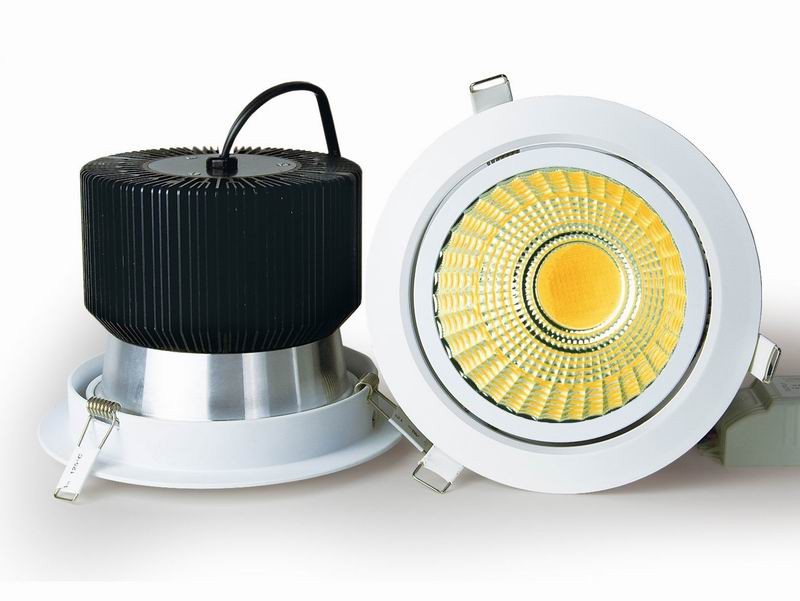 Manufacture High brightness 30W LED COB Downlight COB Down light made ...